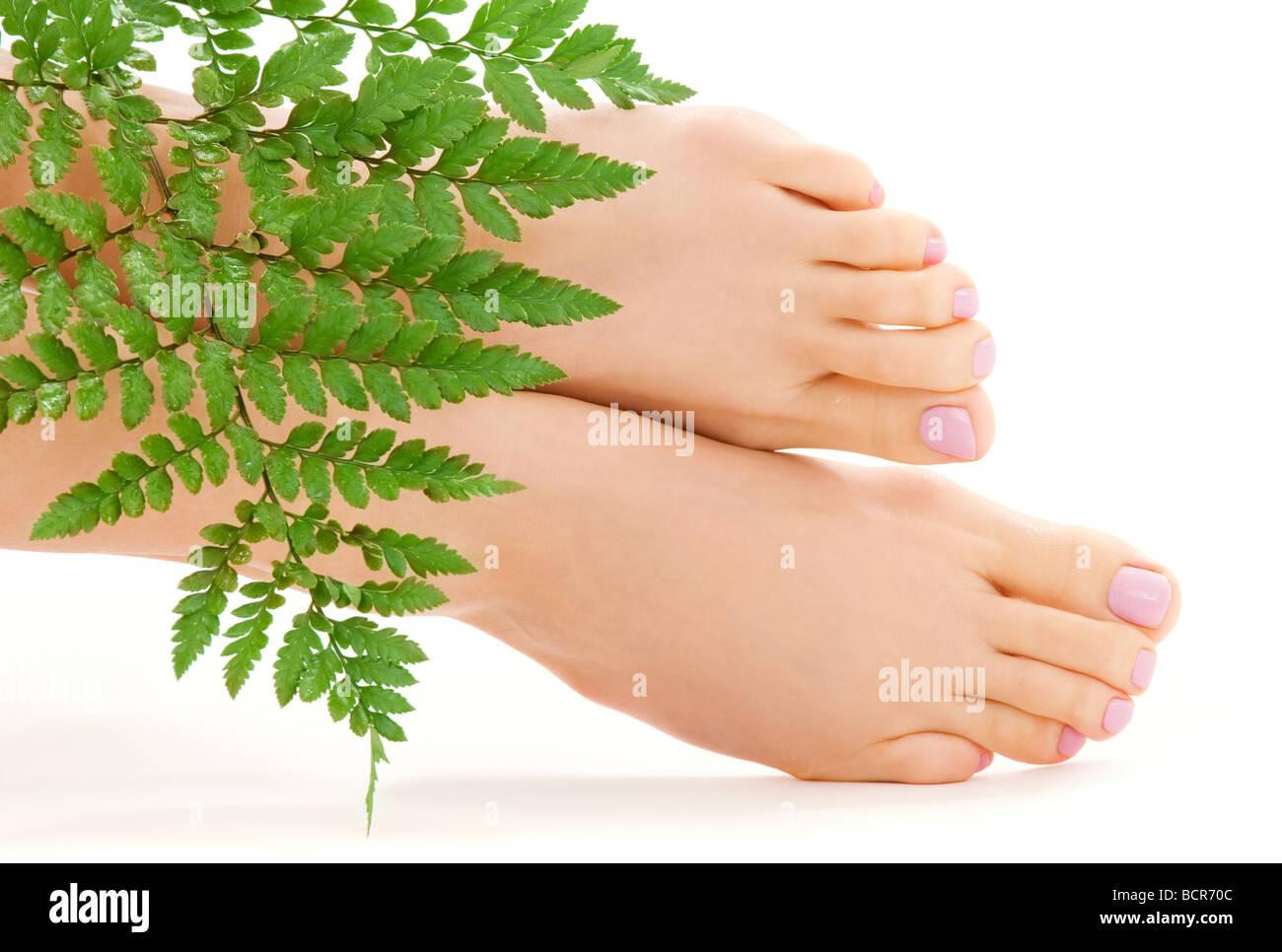 picture of female feet with green leaf over white Stock Photo - Alamy