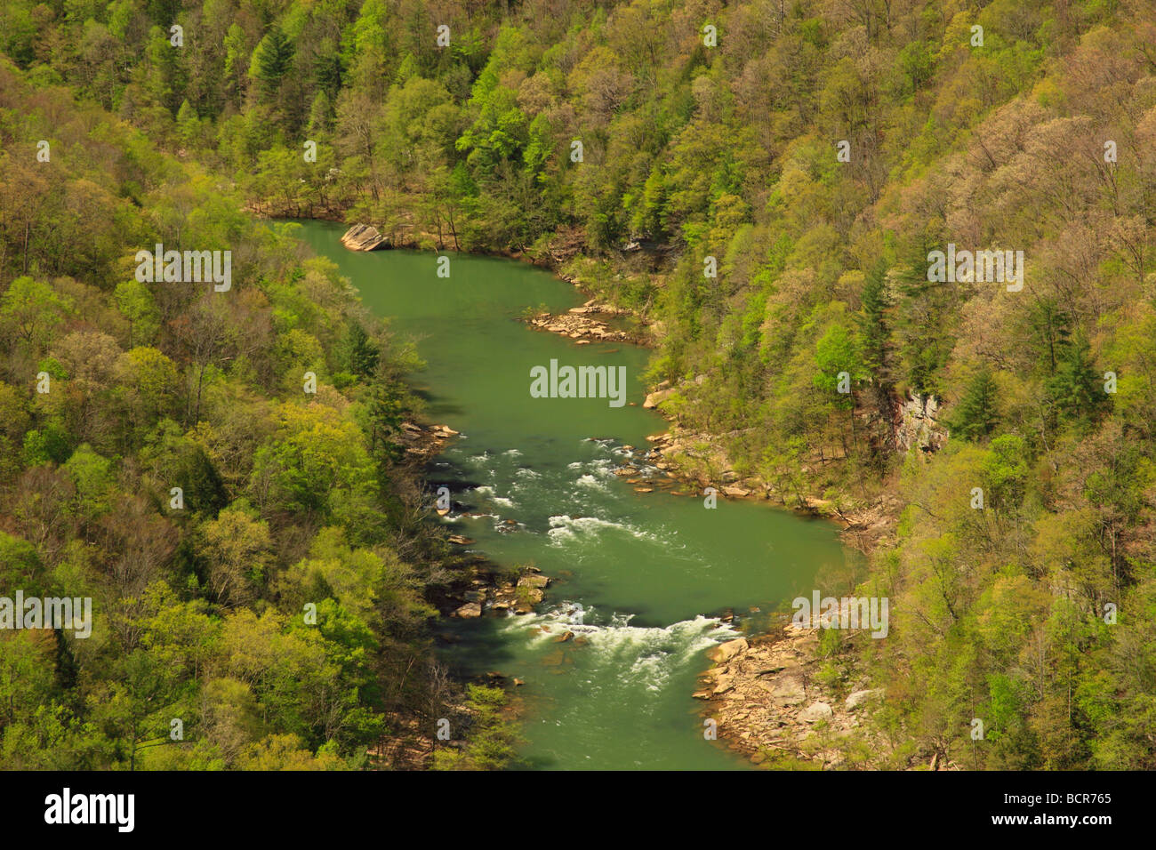 View from East Rim Overlook Big South Fork National River and ...
