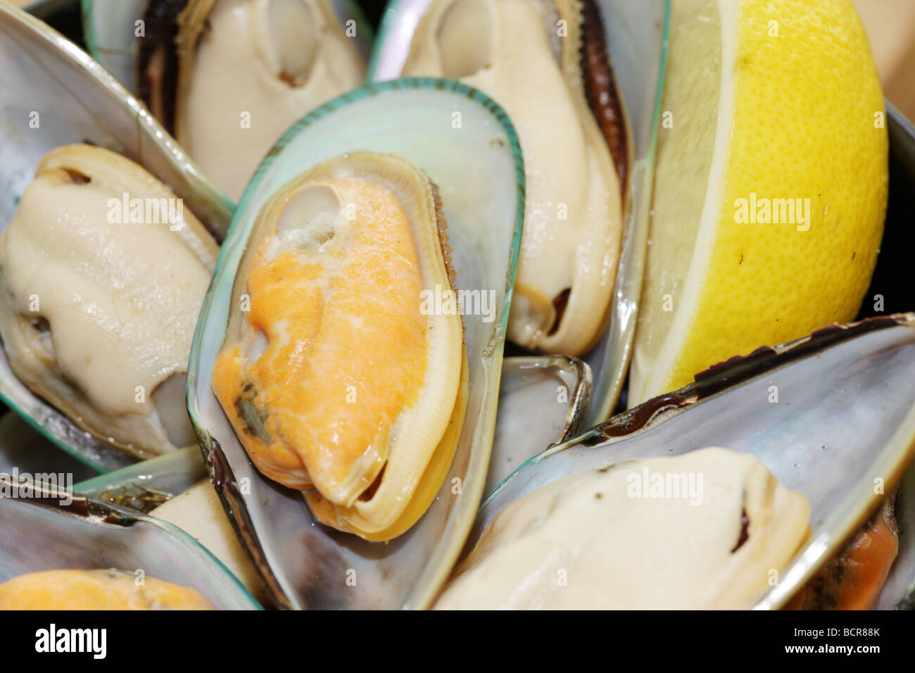 Bowl of Mussels Stock Photo - Alamy