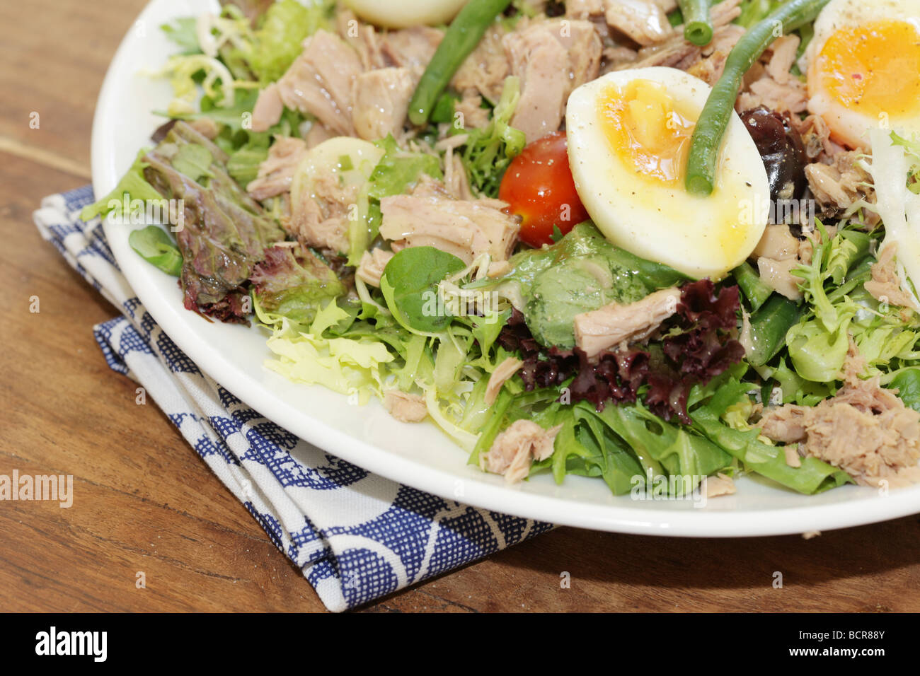 Healthy Fresh Mediterranean Style Salad Nicoise With Tuna Fish And Egg ...