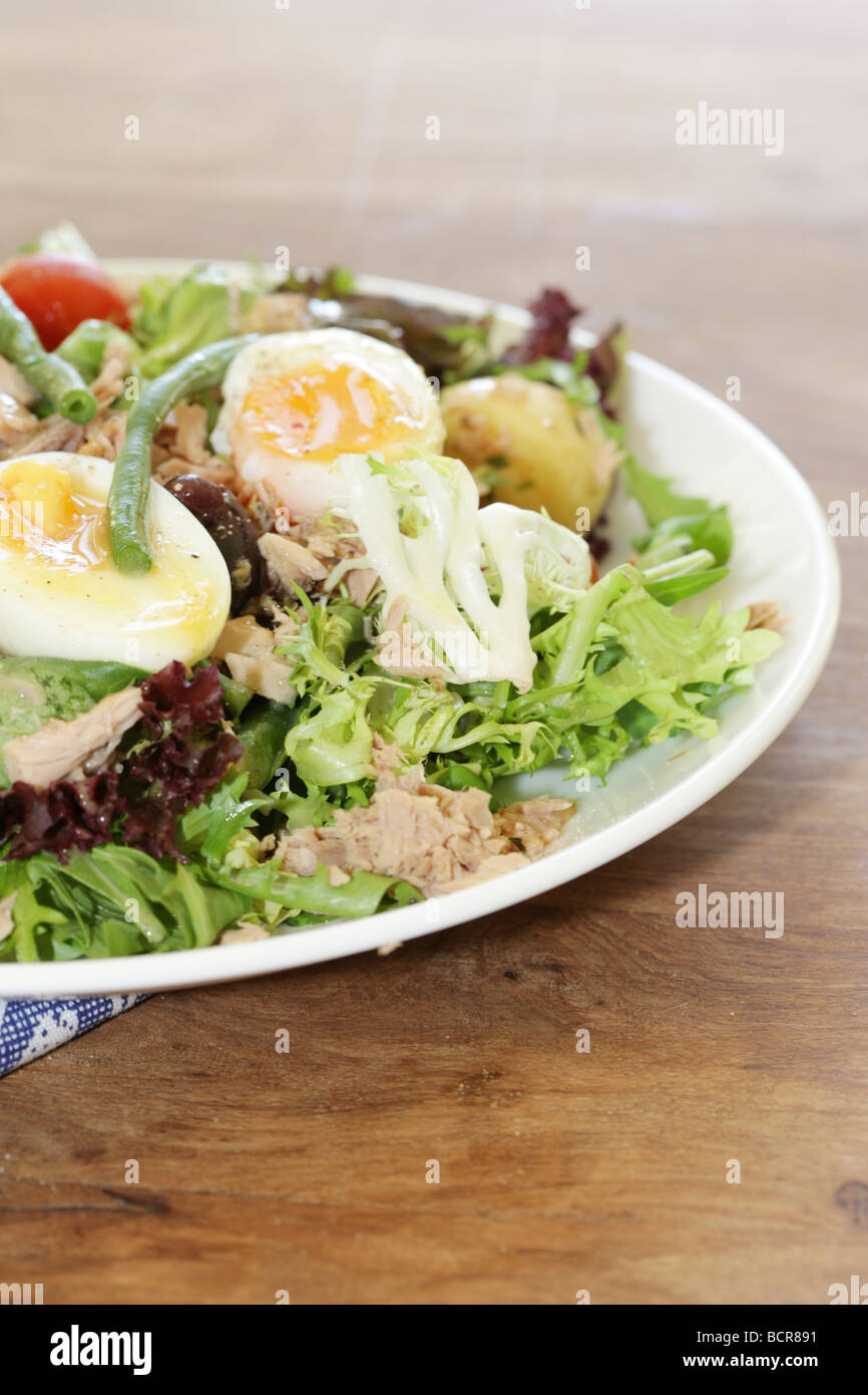 Healthy Fresh Mediterranean Style Salad Nicoise With Tuna Fish And Egg ...