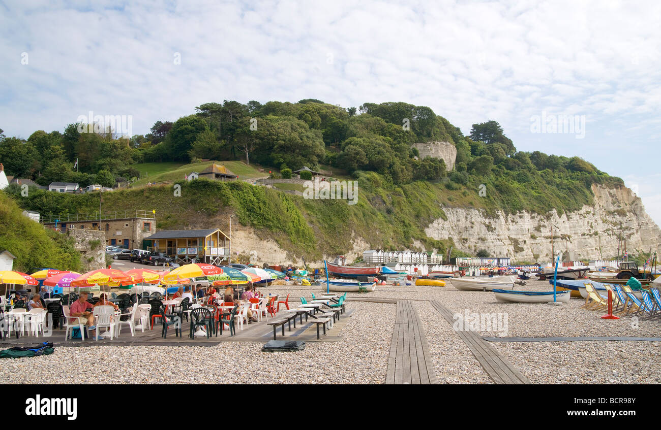 Beach and cliffs, Beer, Devon, England, UK Stock Photo - Alamy