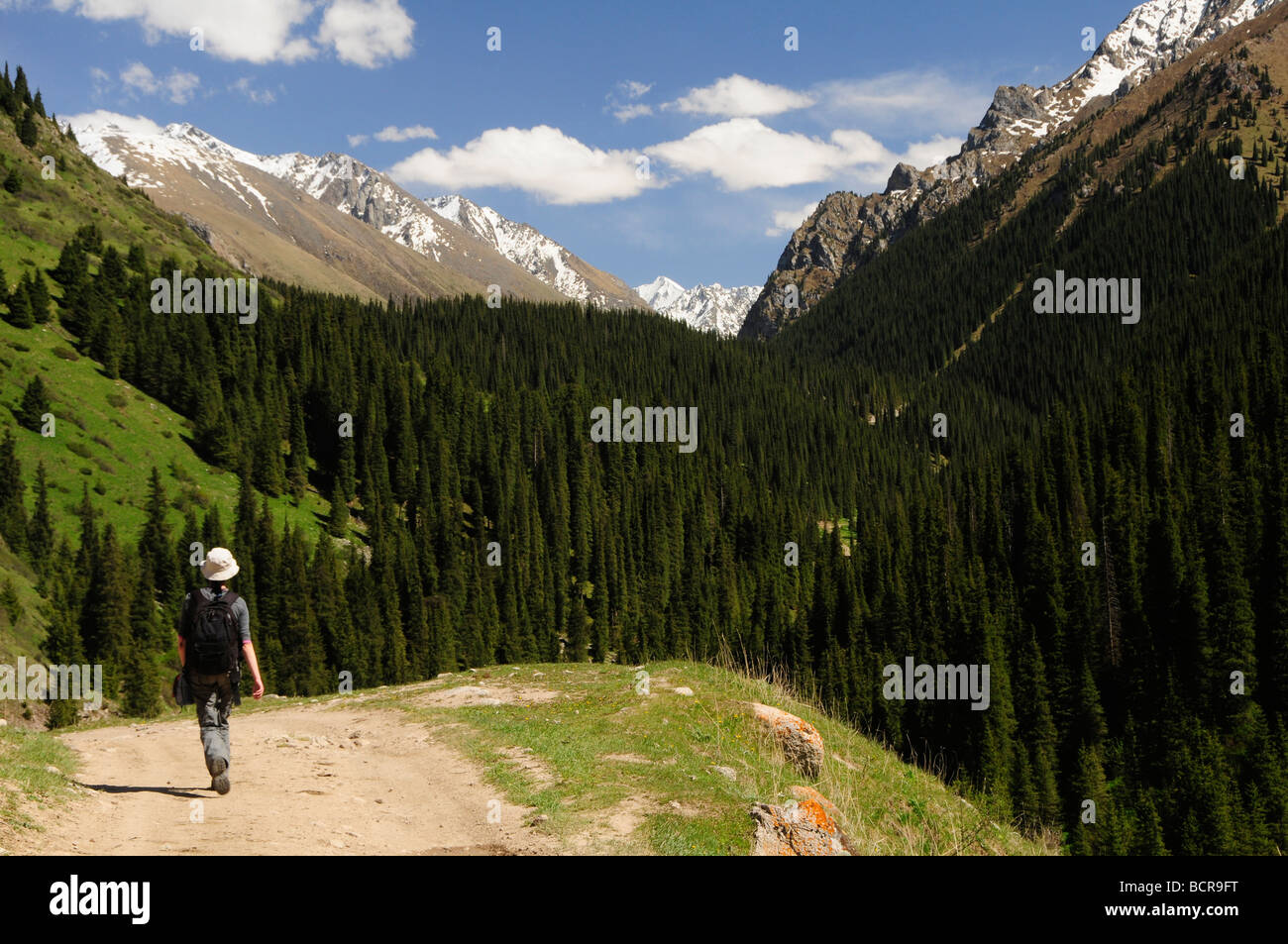 Trekker in Karakol Valley, Kyrgyzstan Stock Photo - Alamy