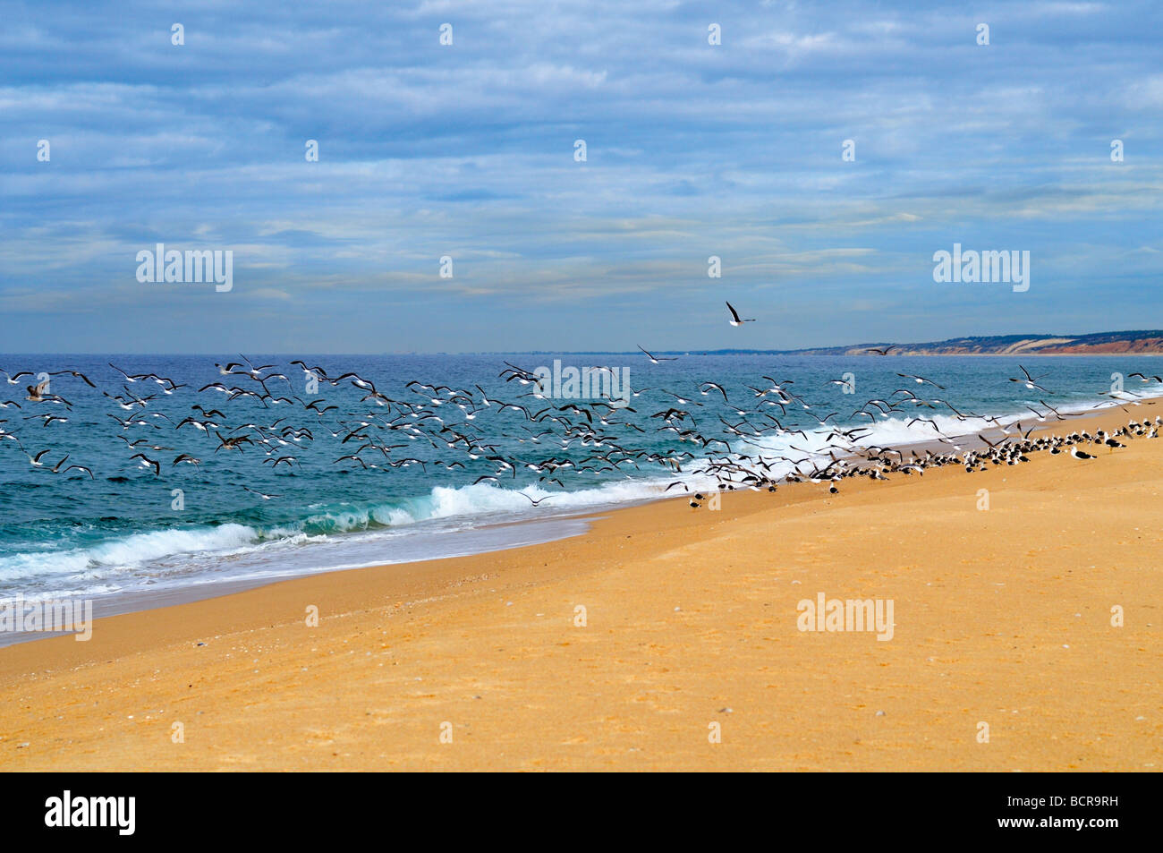 Praia De Melides High Resolution Stock Photography and Images - Alamy