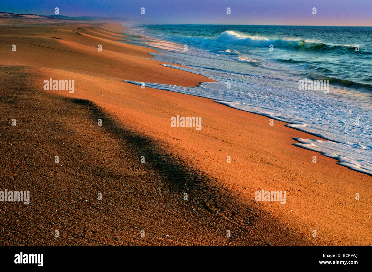 Portugal, Alentejo: Dunes at beach Praia de Melides Stock Photo - Alamy