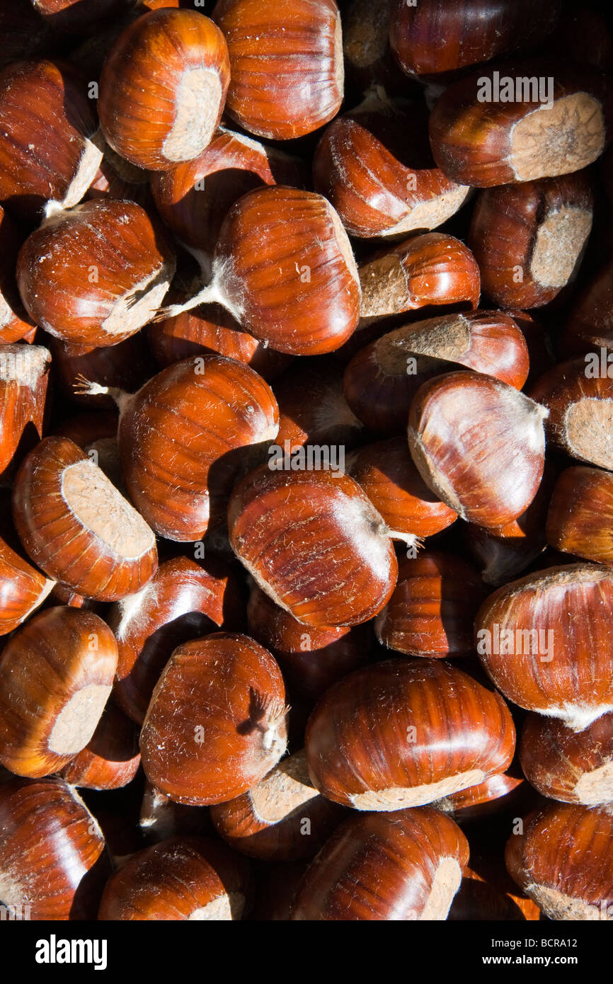 Marrons italy hi-res stock photography and images - Alamy