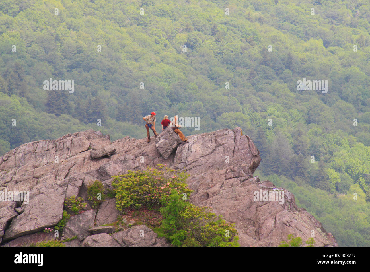 Trail Riders Rhododendron Gap Mount Rogers National Recreation Area ...