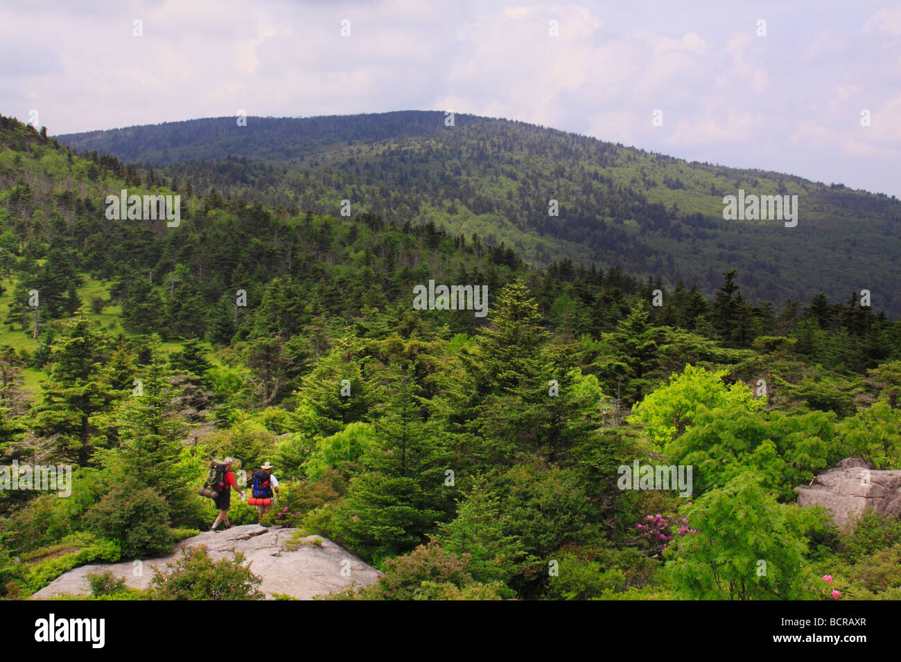 Appalachian Trail Hikers With Mount Rogers in the Distance Mount Rogers ...