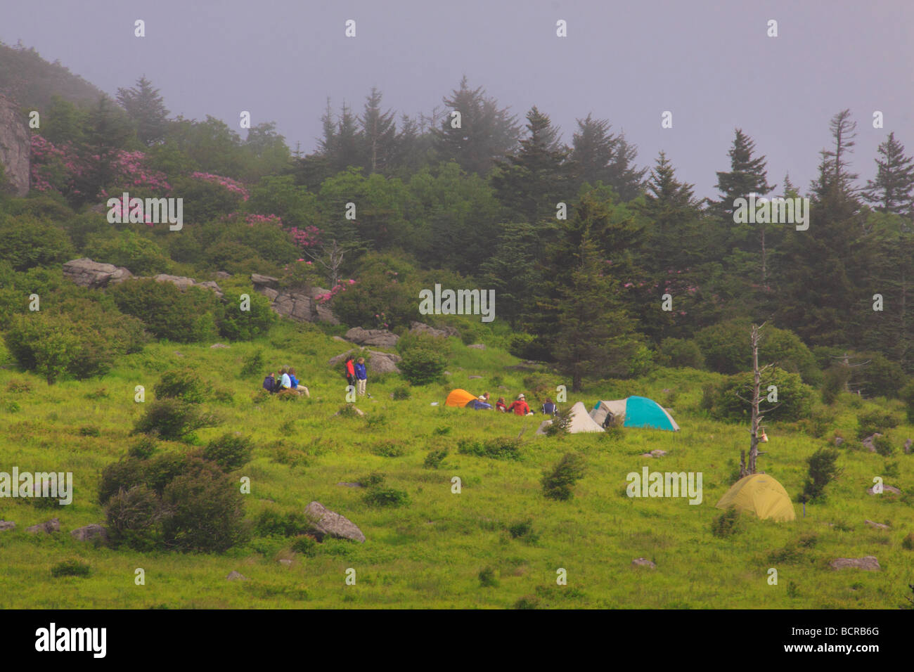 Hikers Camp Near Appalachian Trail Mount Rogers National Recreation ...