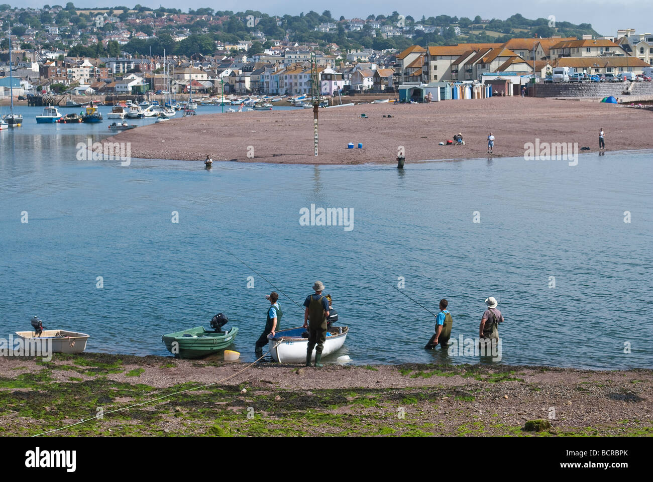 Teignmouth devon fish hi-res stock photography and images - Alamy