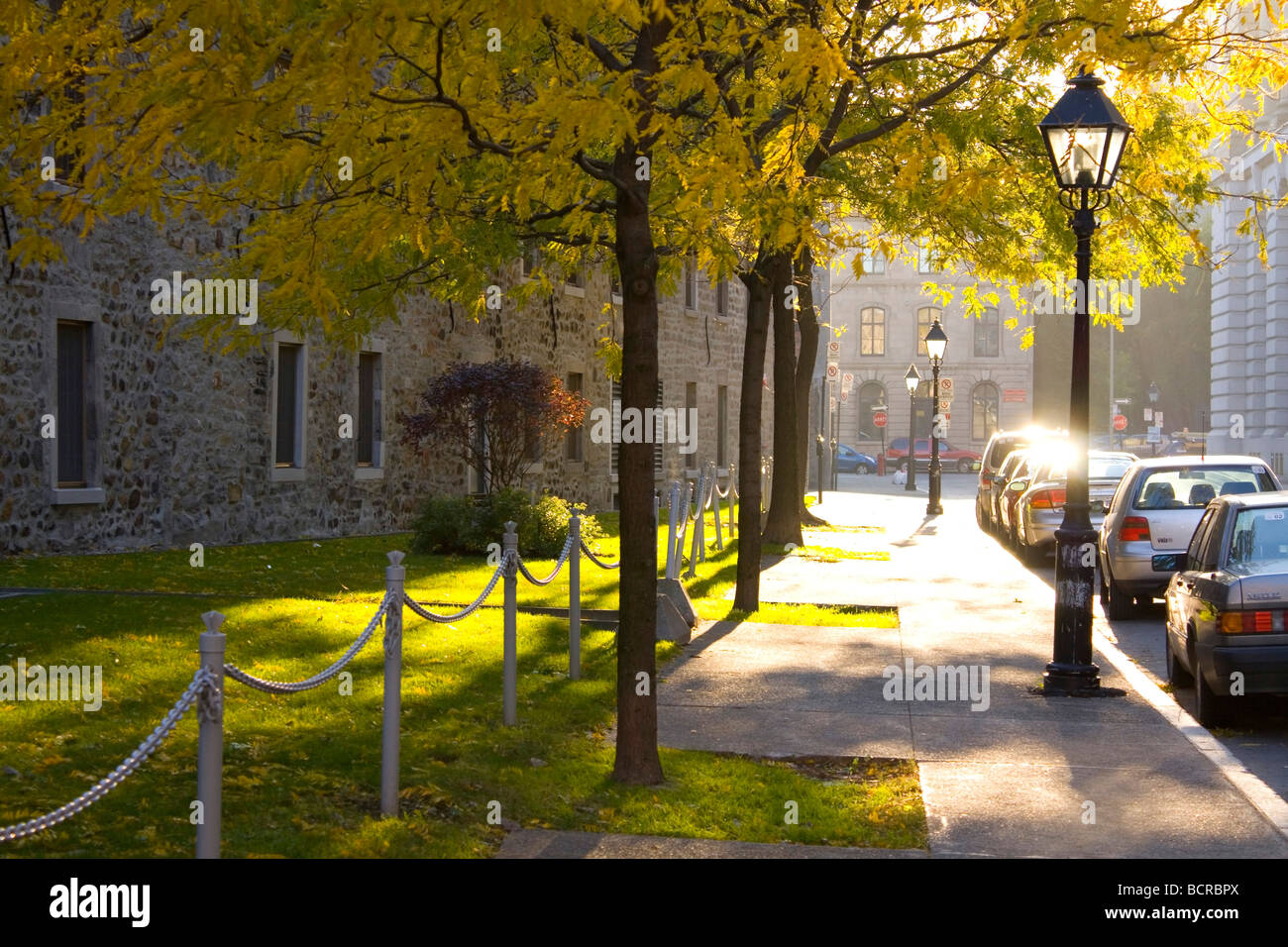 Urban Scene, Old Montreal , Urban Street, Under the trees, City Stock ...