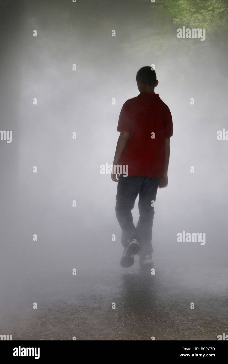 Rear view of a boy walking in the fog Stock Photo - Alamy