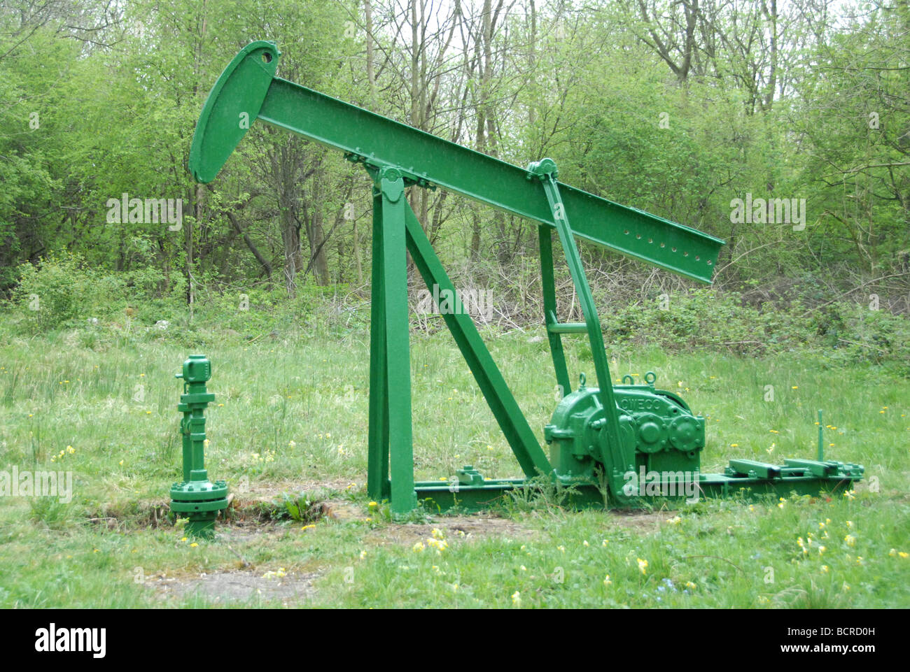 Dukes Wood High Resolution Stock Photography and Images - Alamy