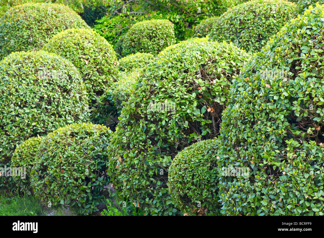 Spheric shape hi-res stock photography and images - Alamy