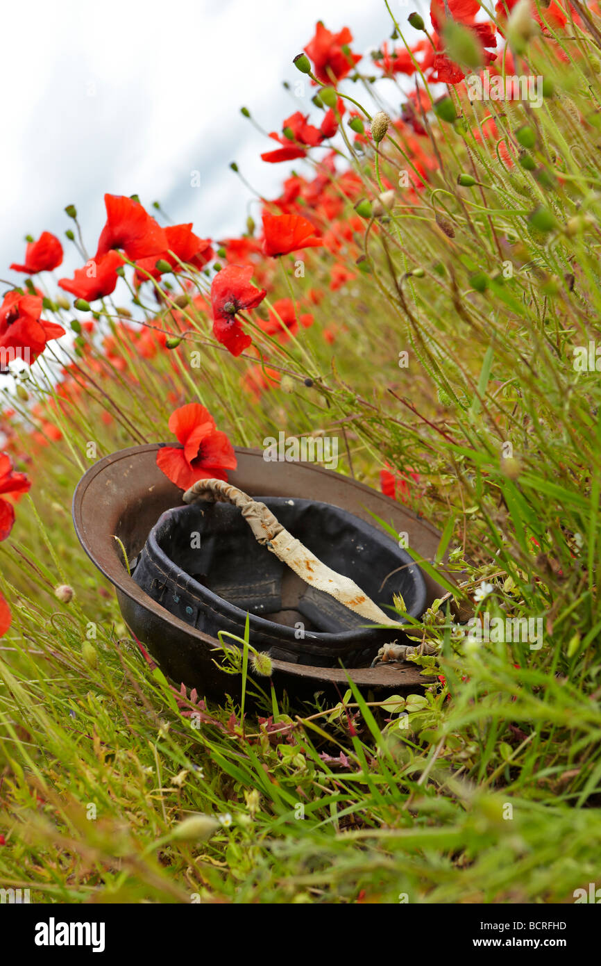 Ww1 soldier in poppy field hi-res stock photography and images - Alamy