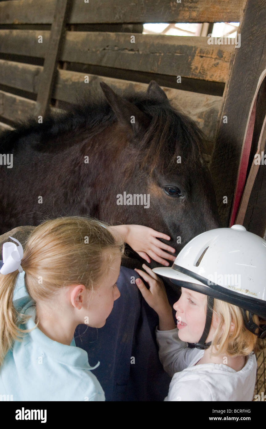 Young girl females with favorite horse in stable during horseback ...