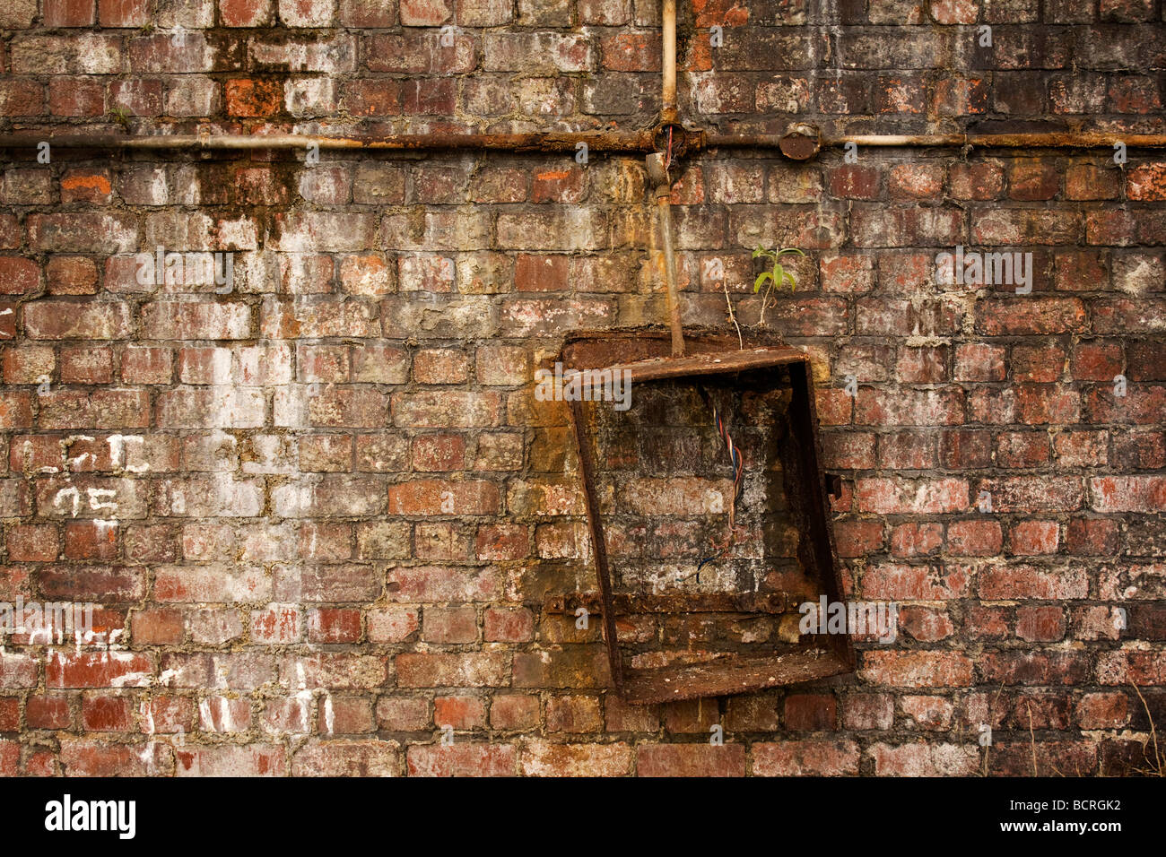 Another grotty looking wall, but with a little weed Stock Photo - Alamy
