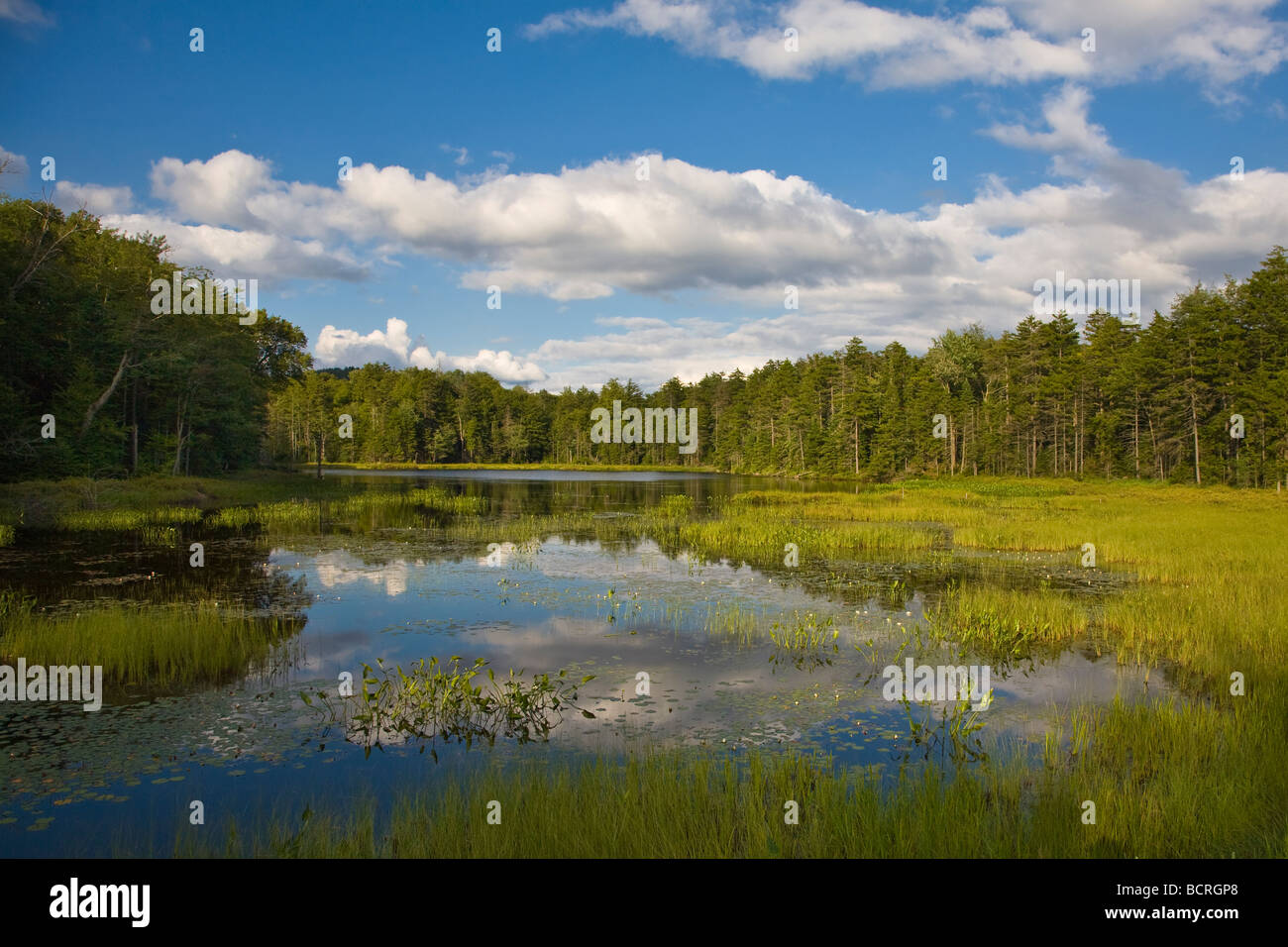 Fly Pond on Rondaxe Road near Old Forge in the Adirondack Mountains of ...