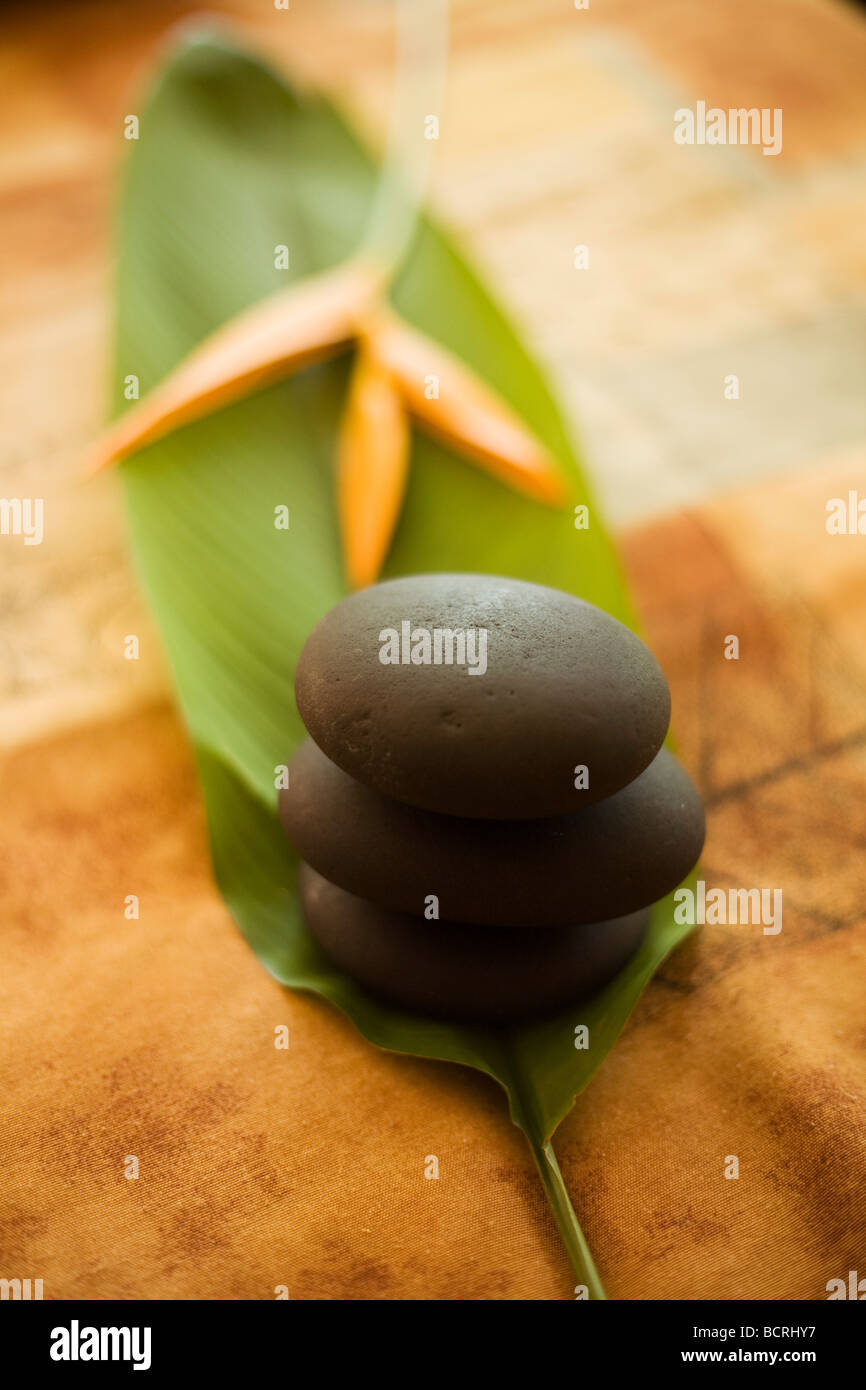 Three stones stacked zen like balanced upon a leaf with a bird of ...