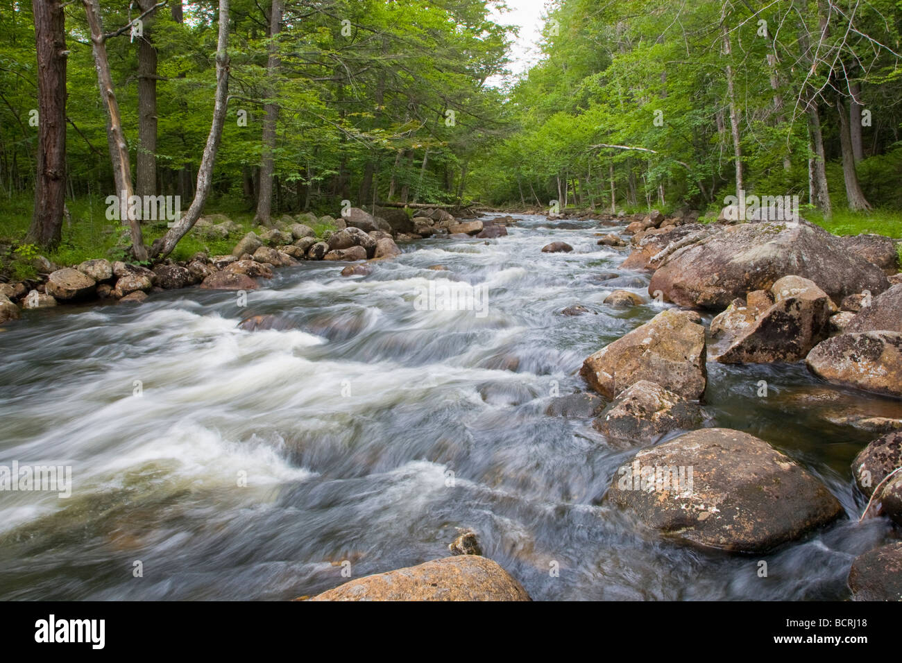 North Branch of the Moose River near Big Moose Lake in the Adirondack ...