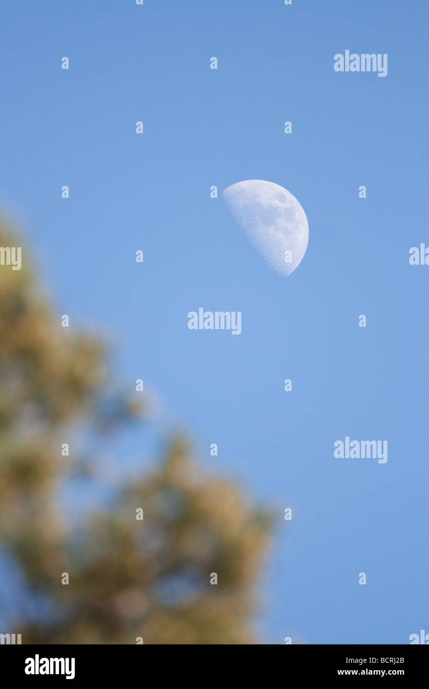 Moon in the morning Stock Photo - Alamy