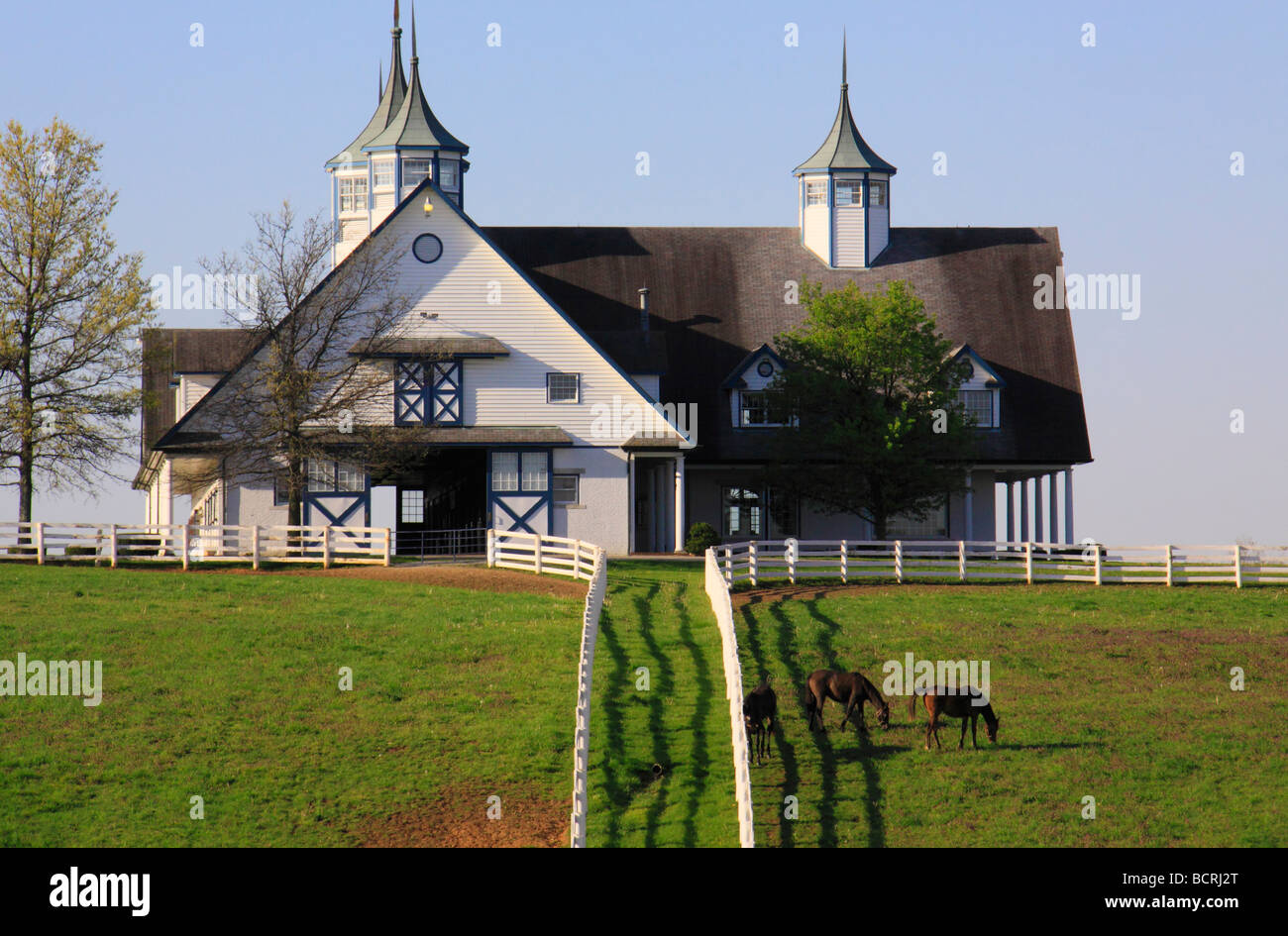 Lexington Kentucky Horse Farm High Resolution Stock Photography and Images - Alamy
