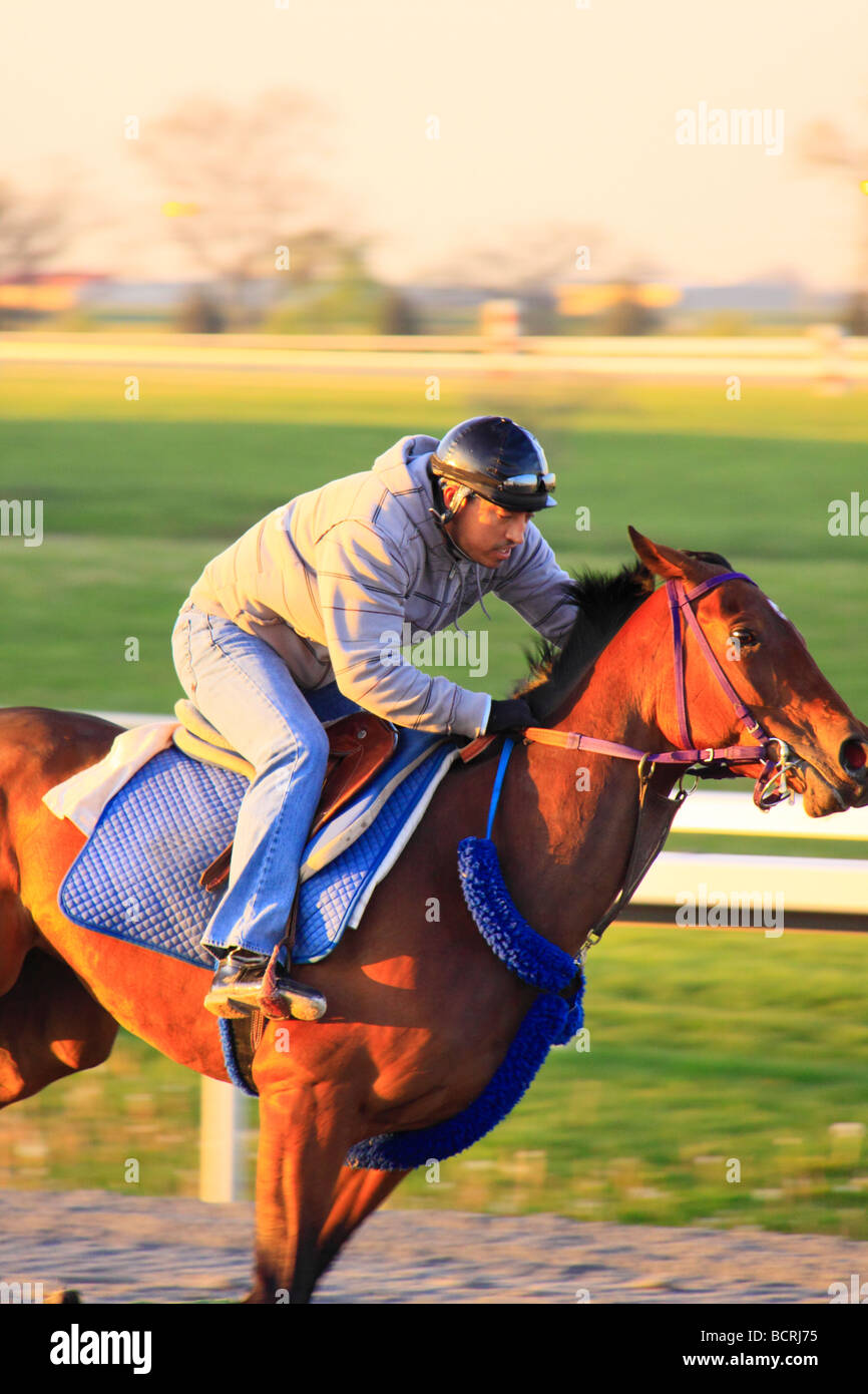 Exercise rider on thoroughbred at early morning workout at Keeneland ...