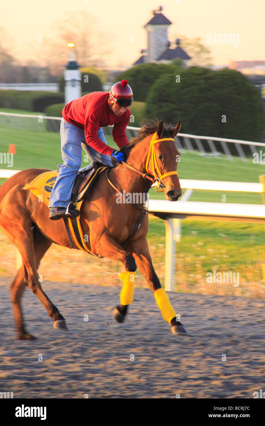 Exercise rider on thoroughbred at early morning workout at Keeneland ...