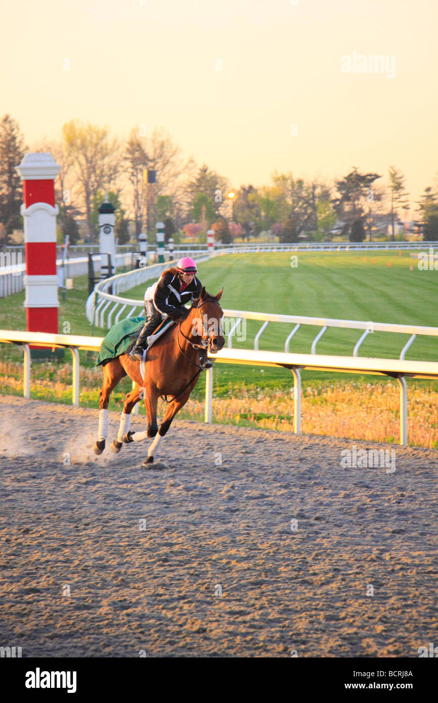 Exercise rider on thoroughbred at early morning workout at Keeneland ...