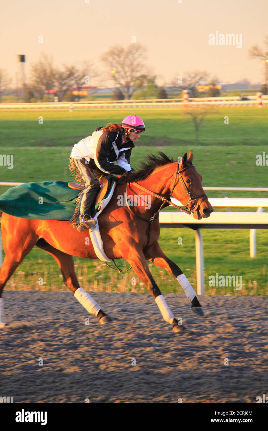 Thoroughbred race course hi-res stock photography and images - Alamy