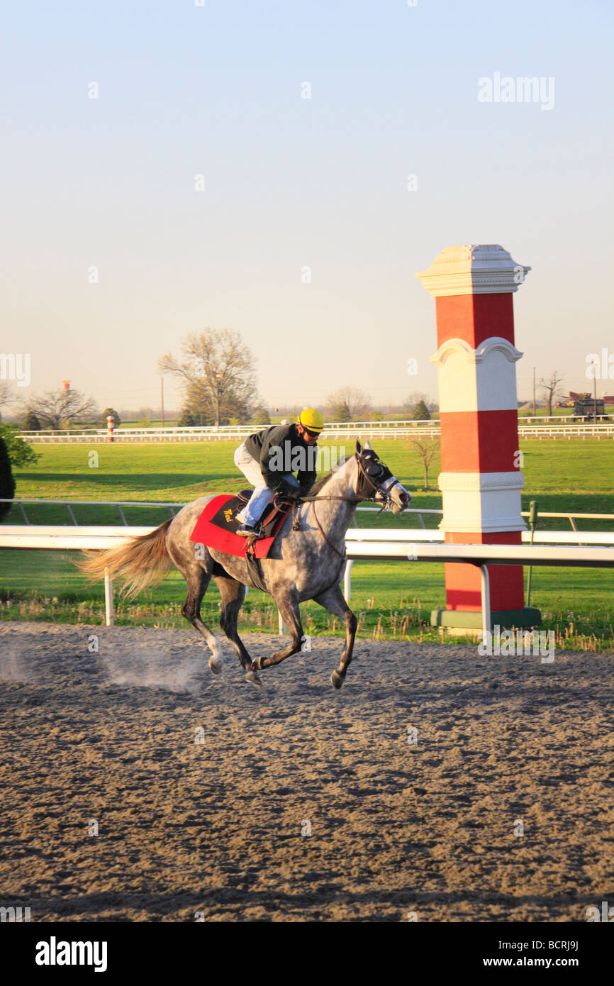 Exercise rider on thoroughbred at early morning workout at Keeneland ...