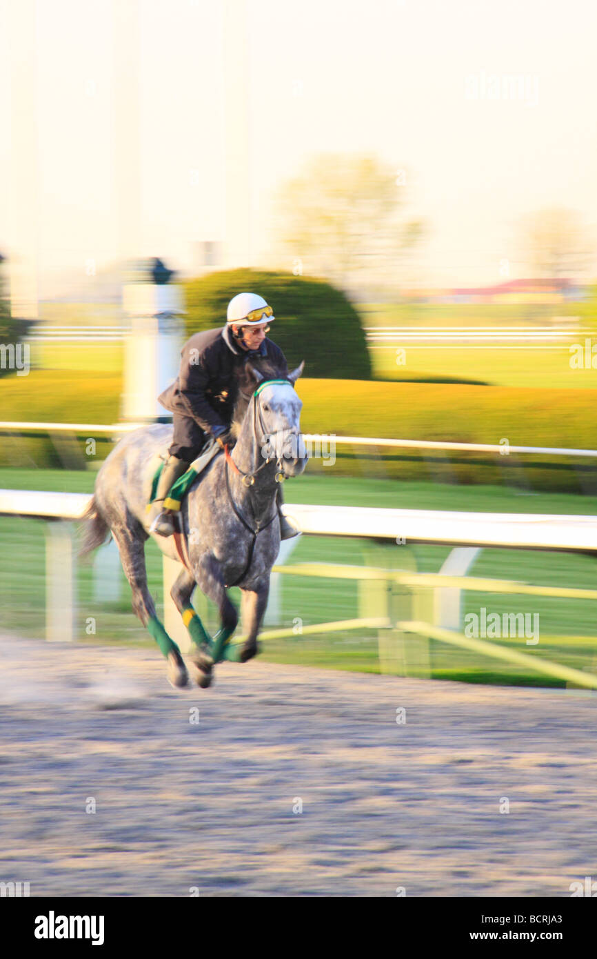 Exercise rider on thoroughbred at early morning workout at Keeneland ...