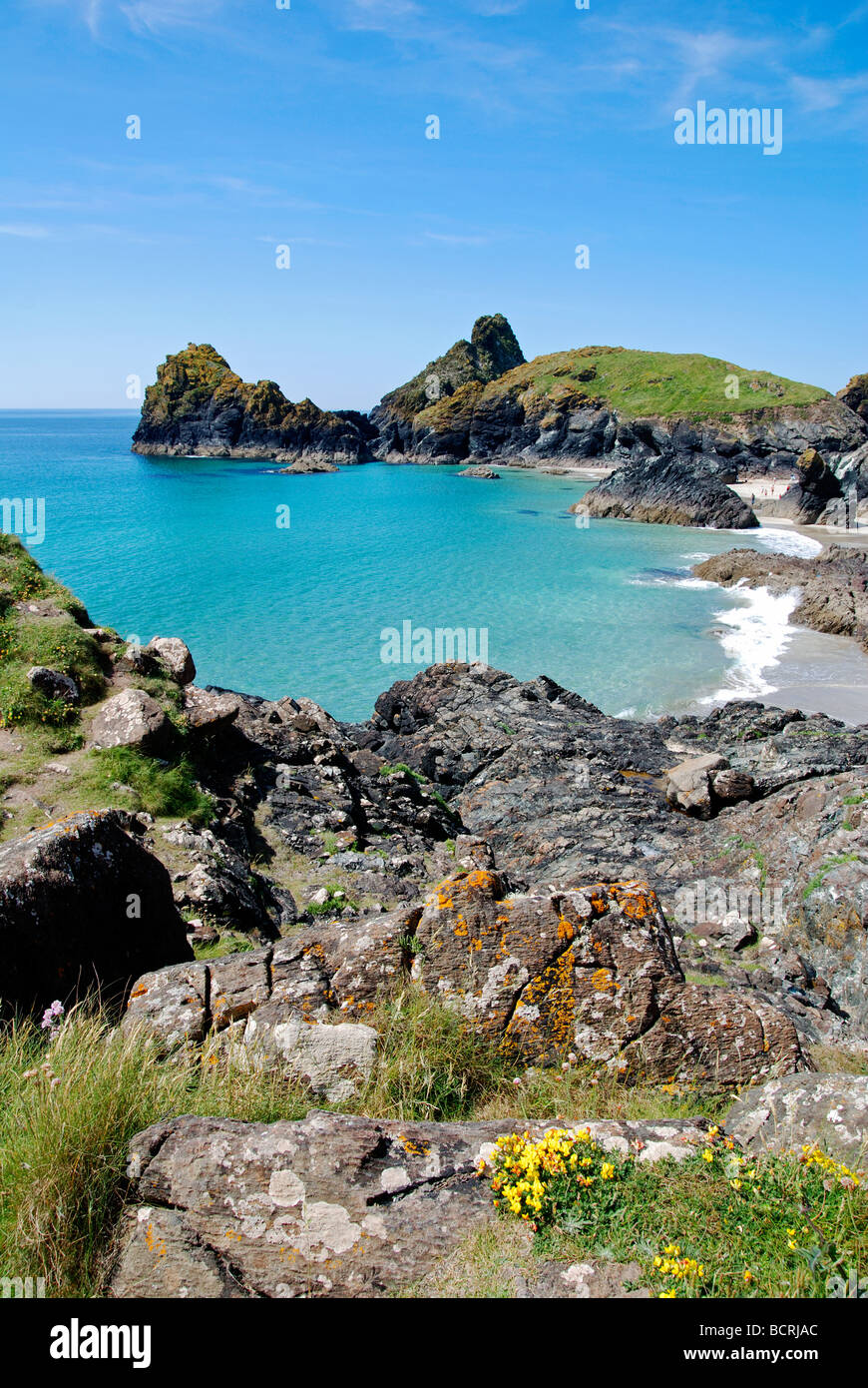 kynance cove near lizard point in cornwall, uk Stock Photo - Alamy