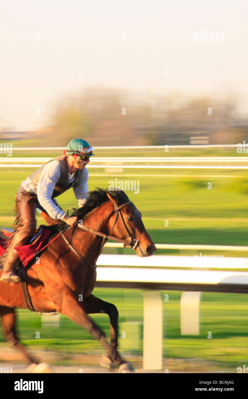Exercise rider on thoroughbred at early morning workout at Keeneland ...