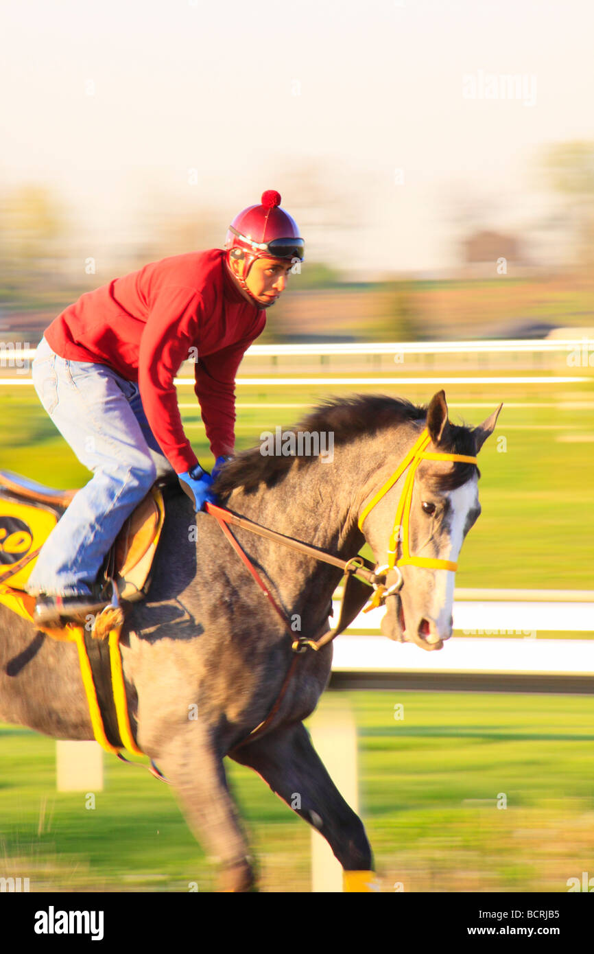 Exercise rider on thoroughbred at early morning workout at Keeneland ...