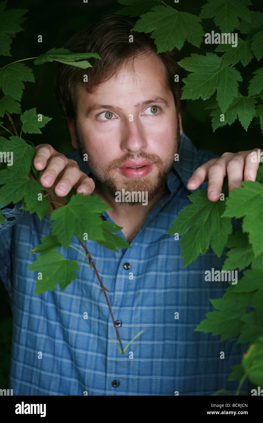 Man looking through the foliage Stock Photo - Alamy