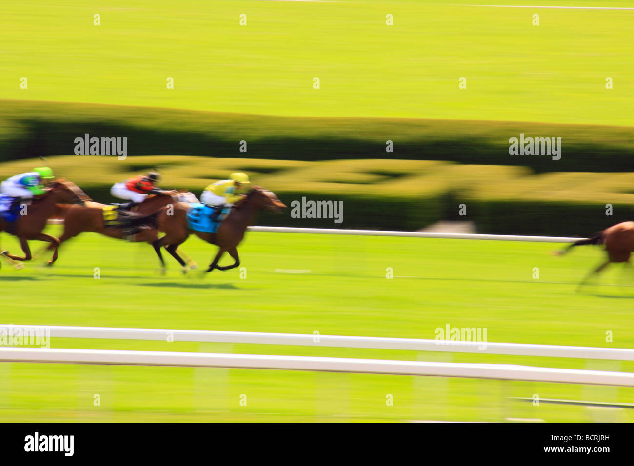 Thoroughbreds speed toward the finish line Spring horse races Keeneland ...