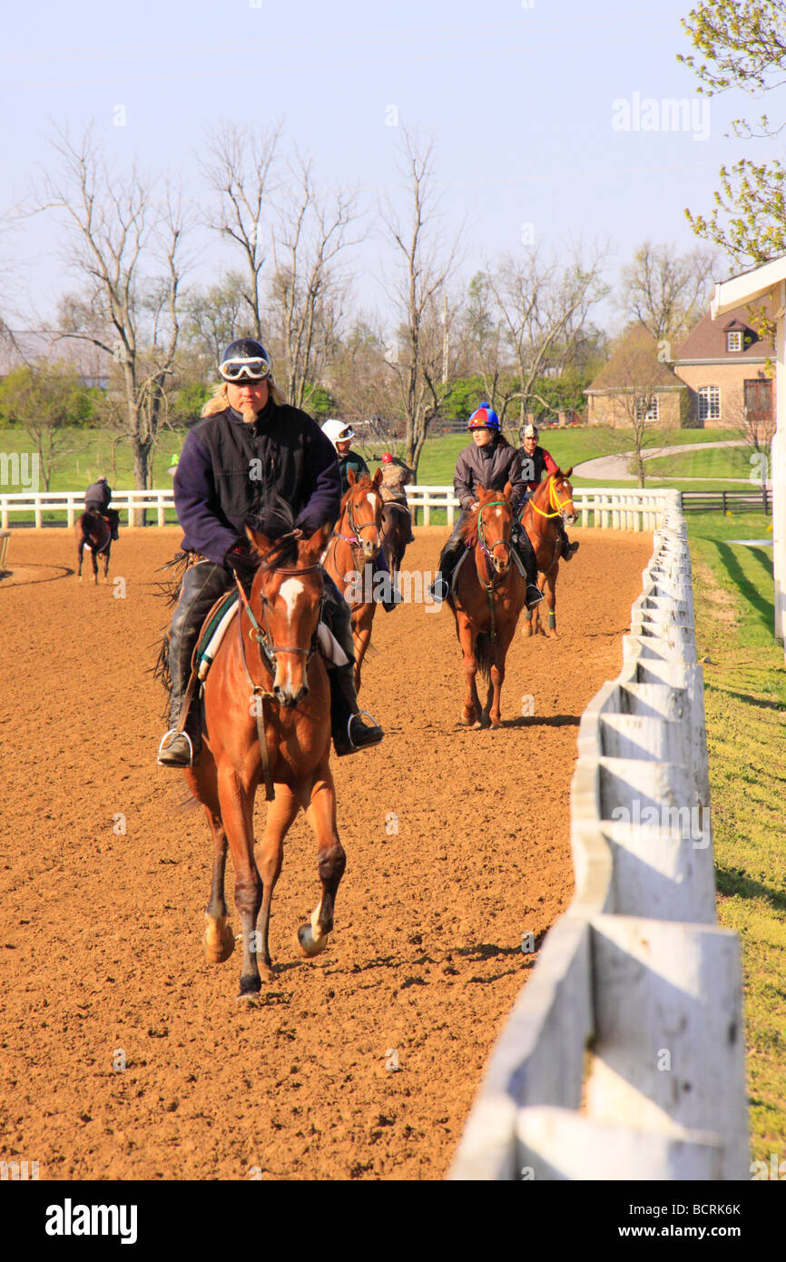 Exercise riders warm up thoroughbreds during early morning workout The ...