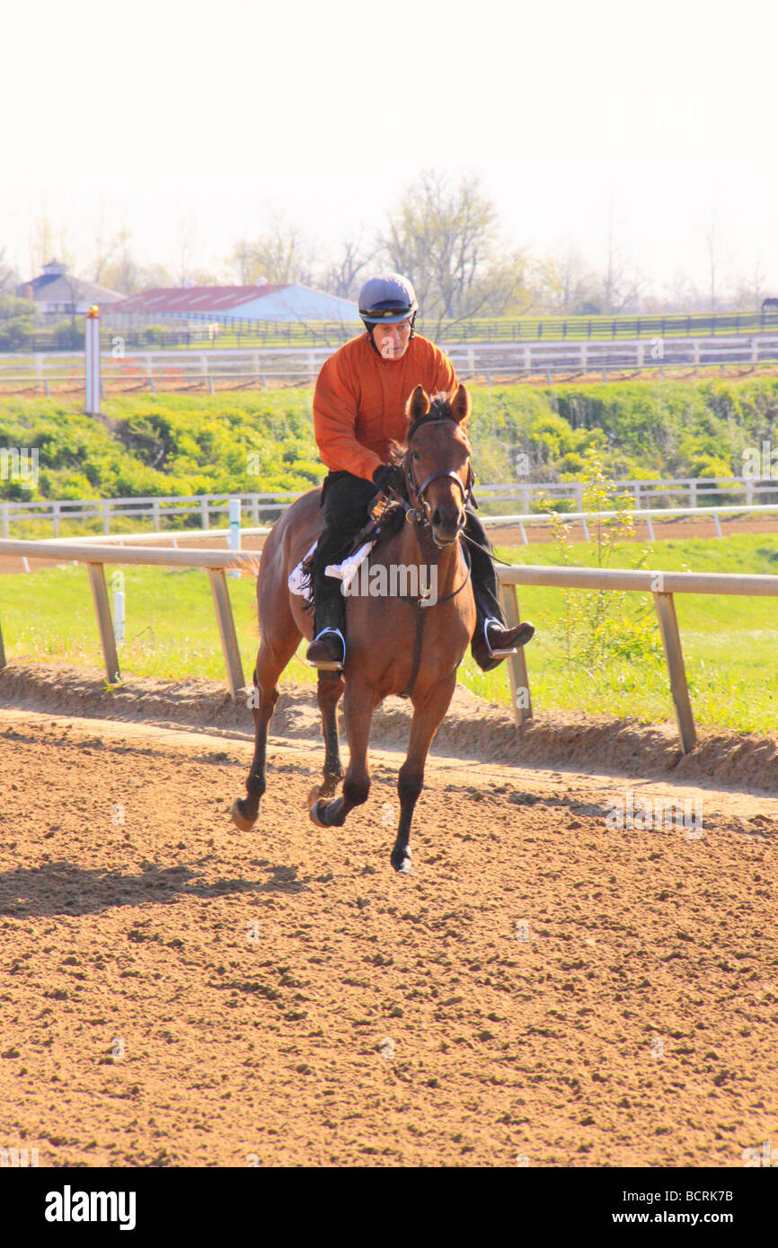 Horse and rider morning exercise racing race track hi-res stock ...
