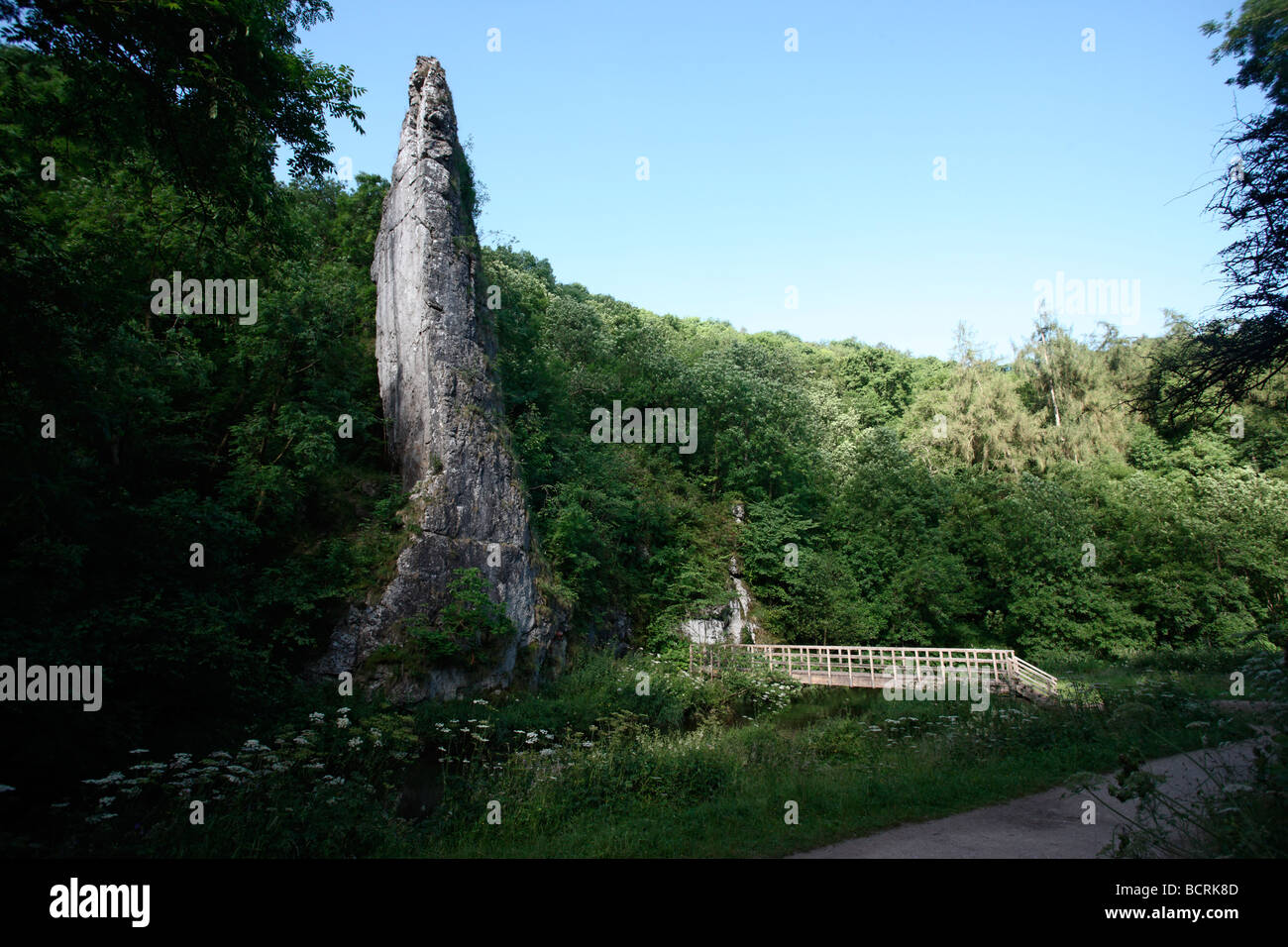 Ilam park hi-res stock photography and images - Alamy