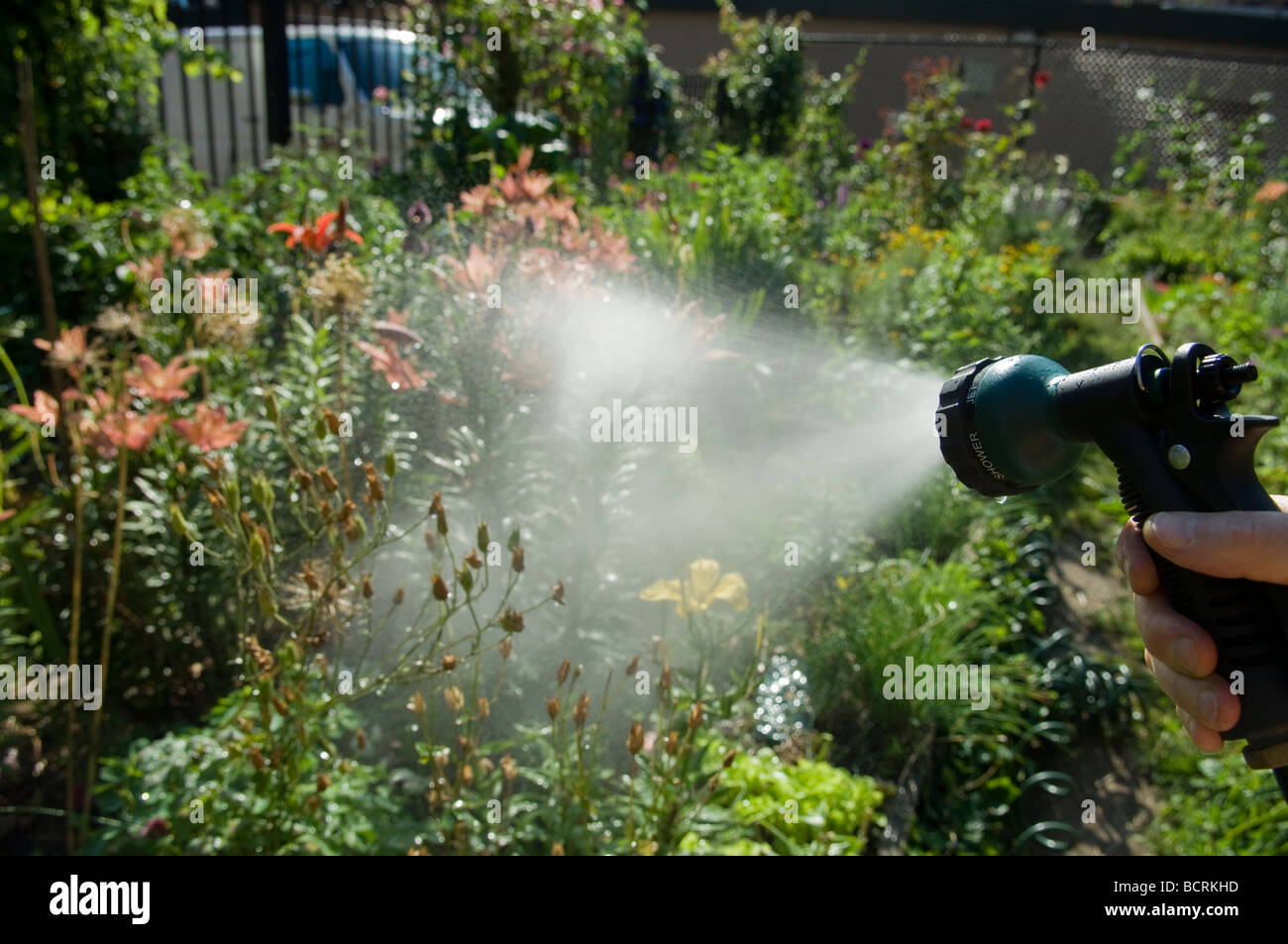 Neighborhood gardening hi-res stock photography and images - Alamy
