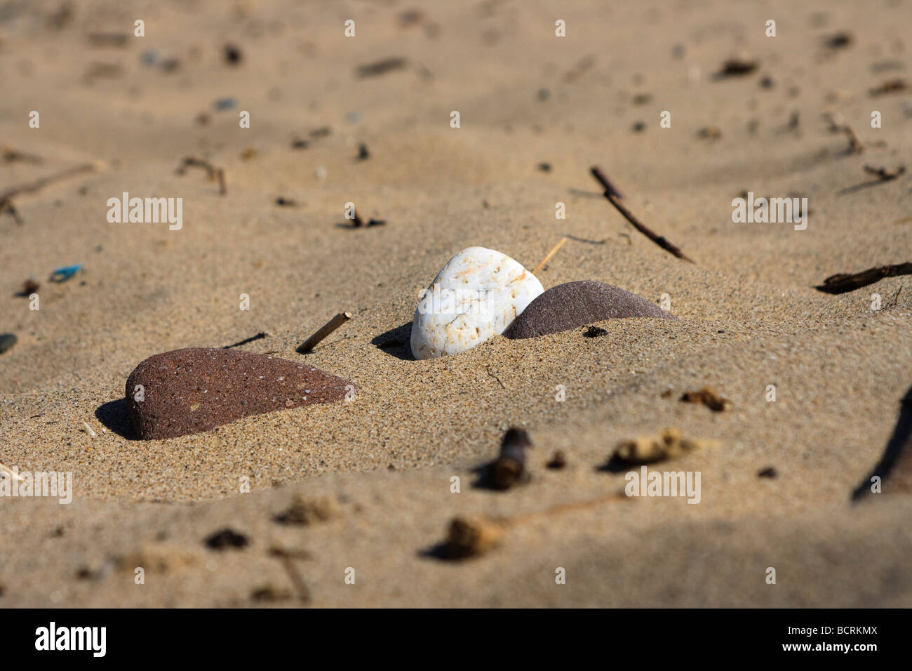 Stones partially buried in the sand on a beach Stock Photo - Alamy