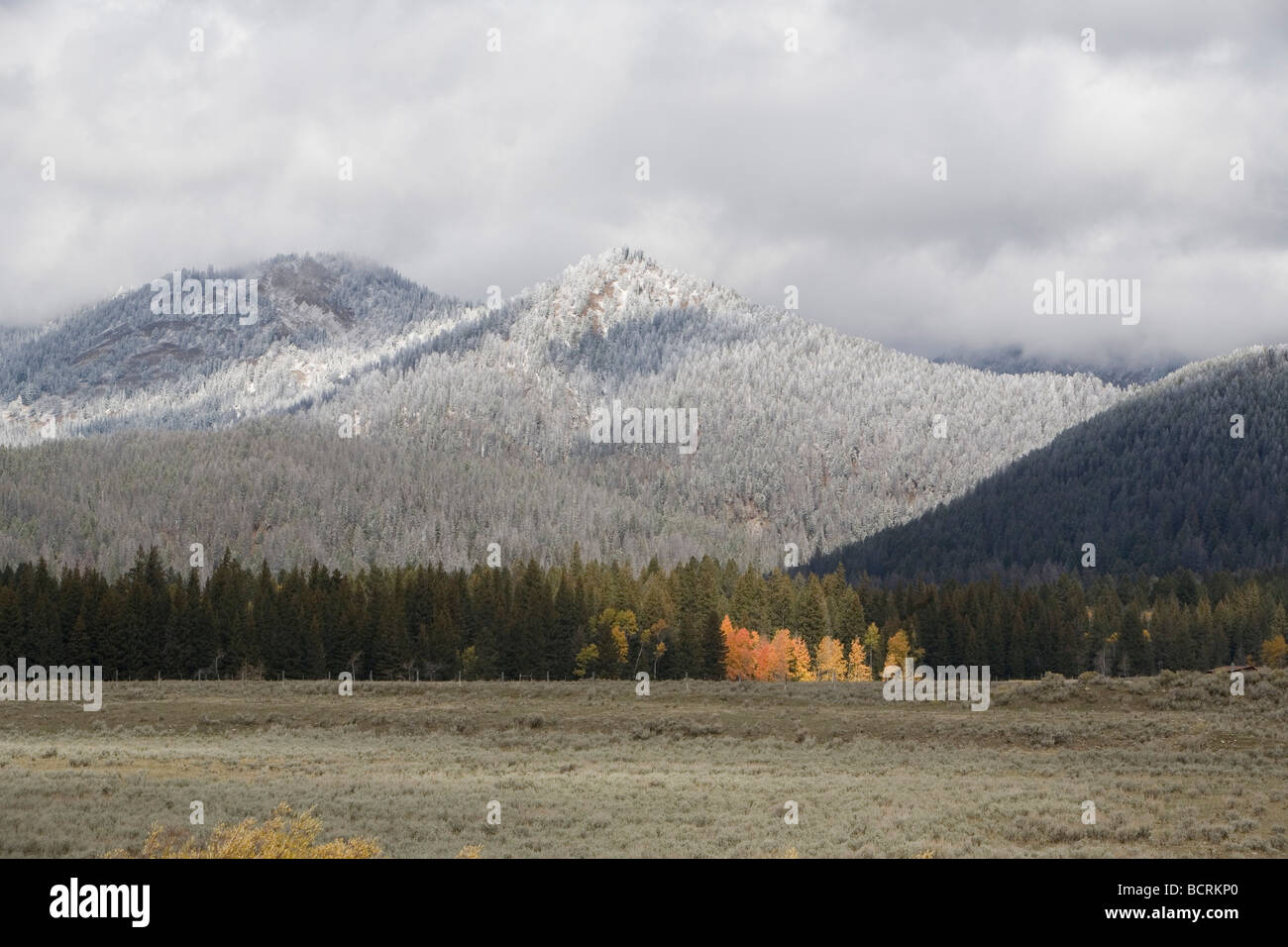 Moody fall landscapes hi-res stock photography and images - Alamy