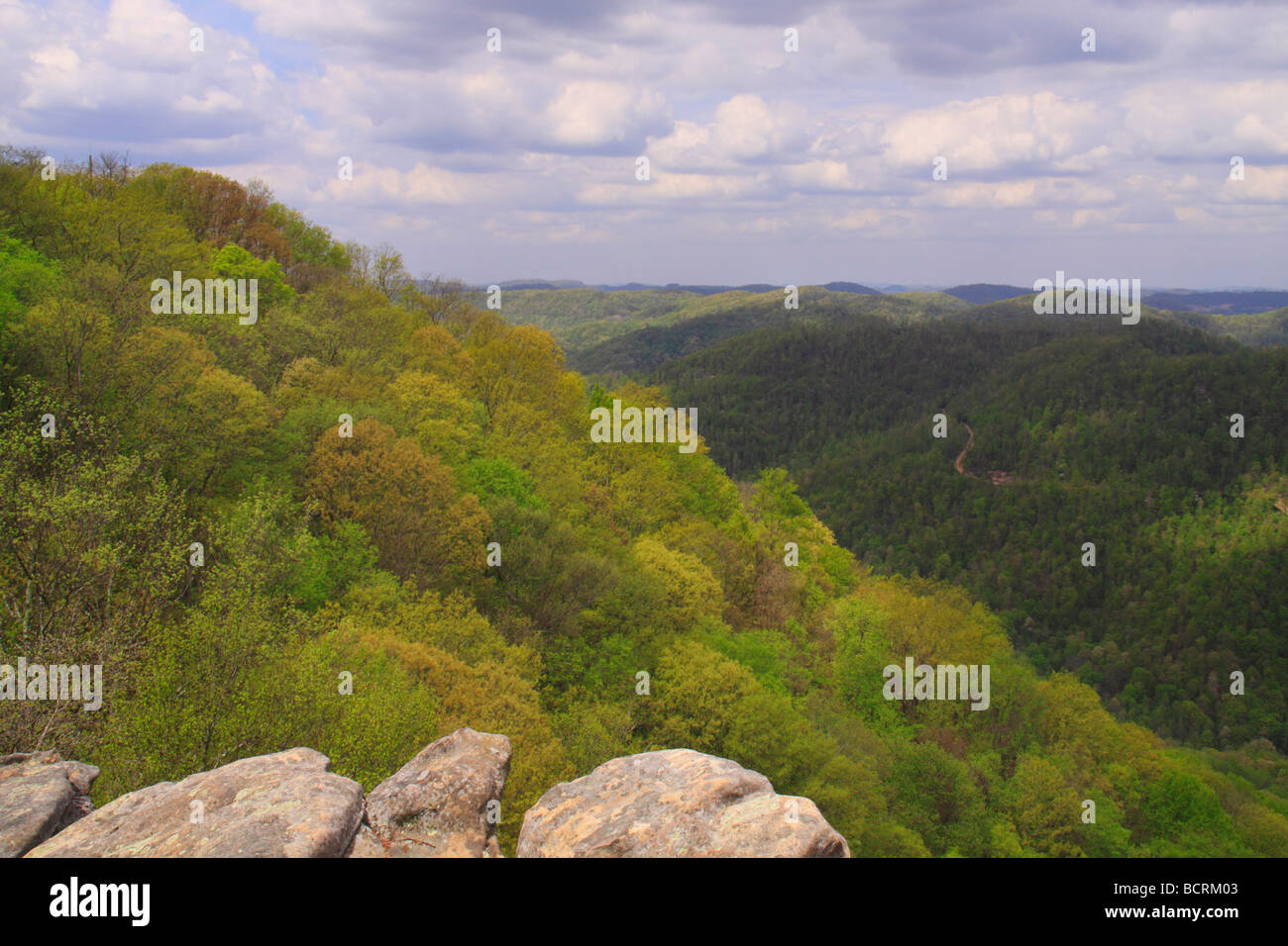 View from Lookout Point Pine Mountain State Resort Park Pineville ...