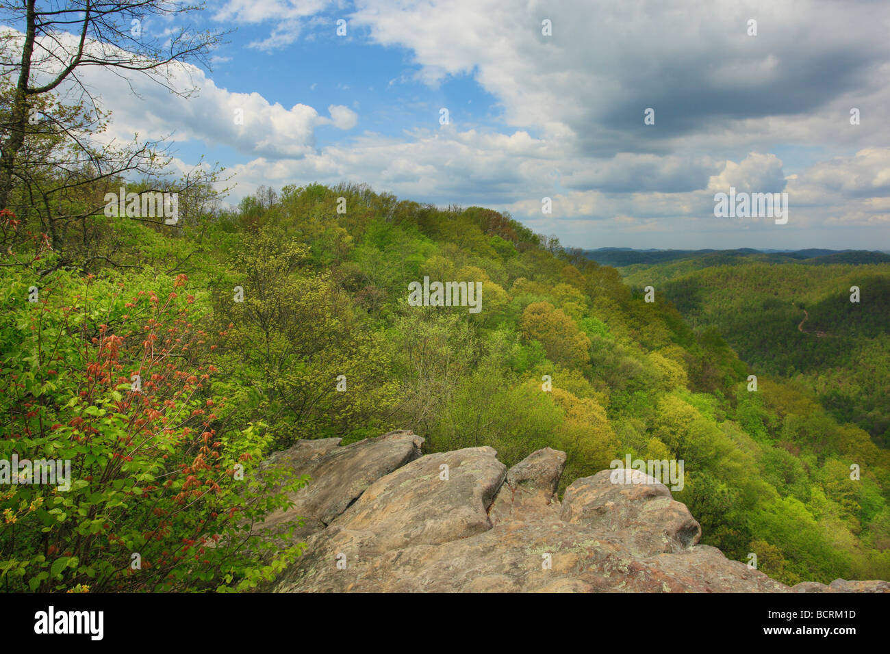 Point lookout state park hi-res stock photography and images - Alamy