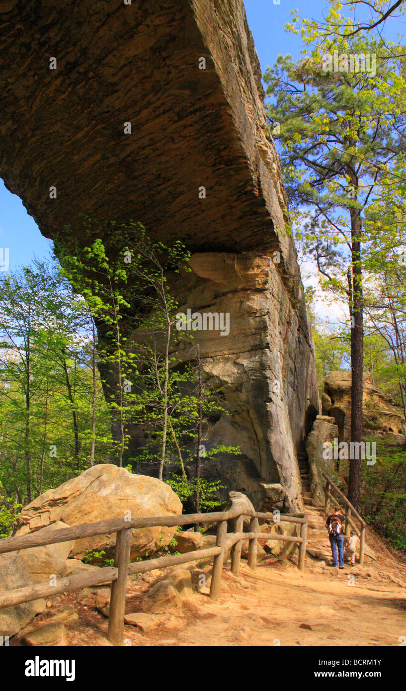 Hikers on trail at bottom of the Natural Bridge Natural Bridge State ...