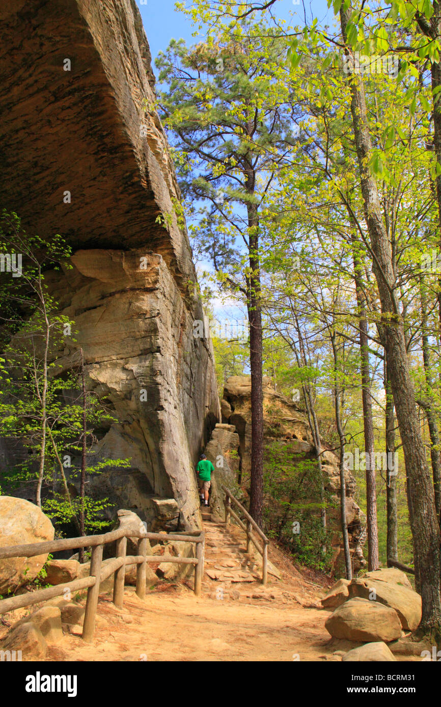 Hiker climbs steps to top of the Natural Bridge Natural Bridge State ...