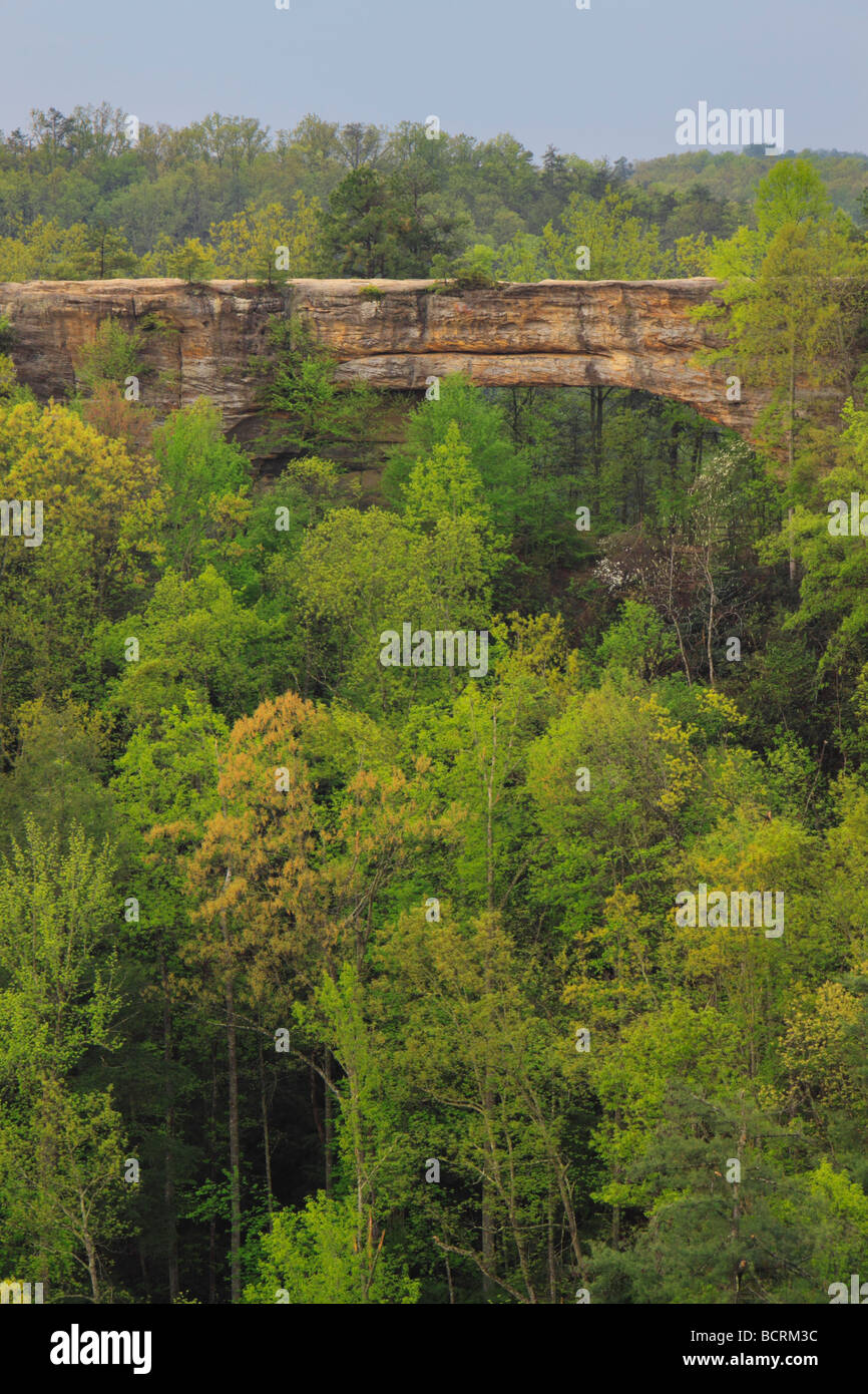 View of Natural Bridge from Lookout Point Natural Bridge State Resort ...