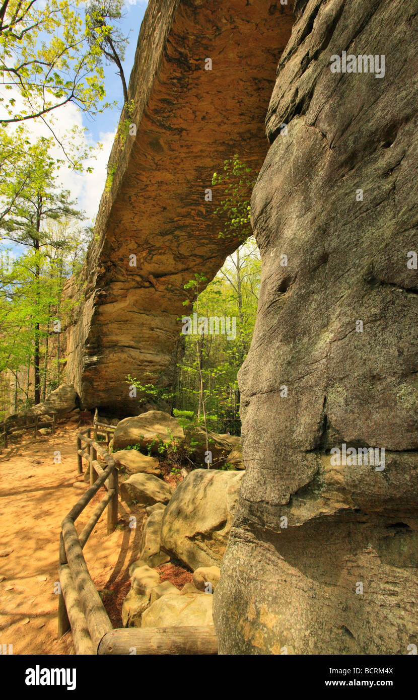 Trail at bottom of the Natural Bridge Natural Bridge State Resort Park ...