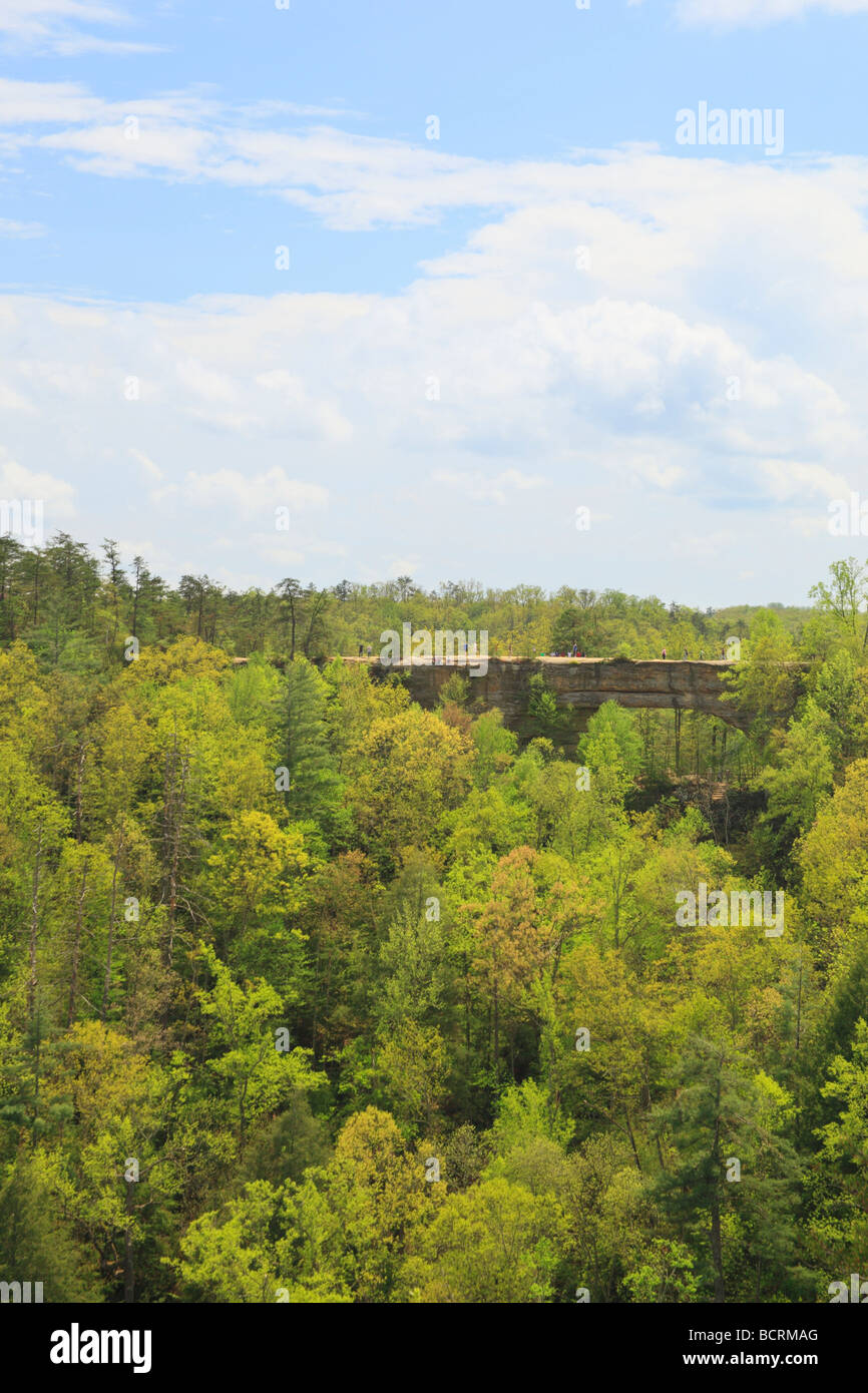 View of Natural Bridge from Lookout Point Natural Bridge State Resort ...